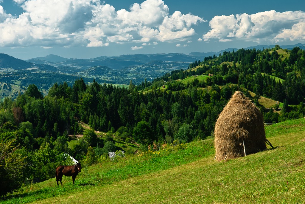 Borșa – Maramures | Obiective Turistice - Harta Romaniei