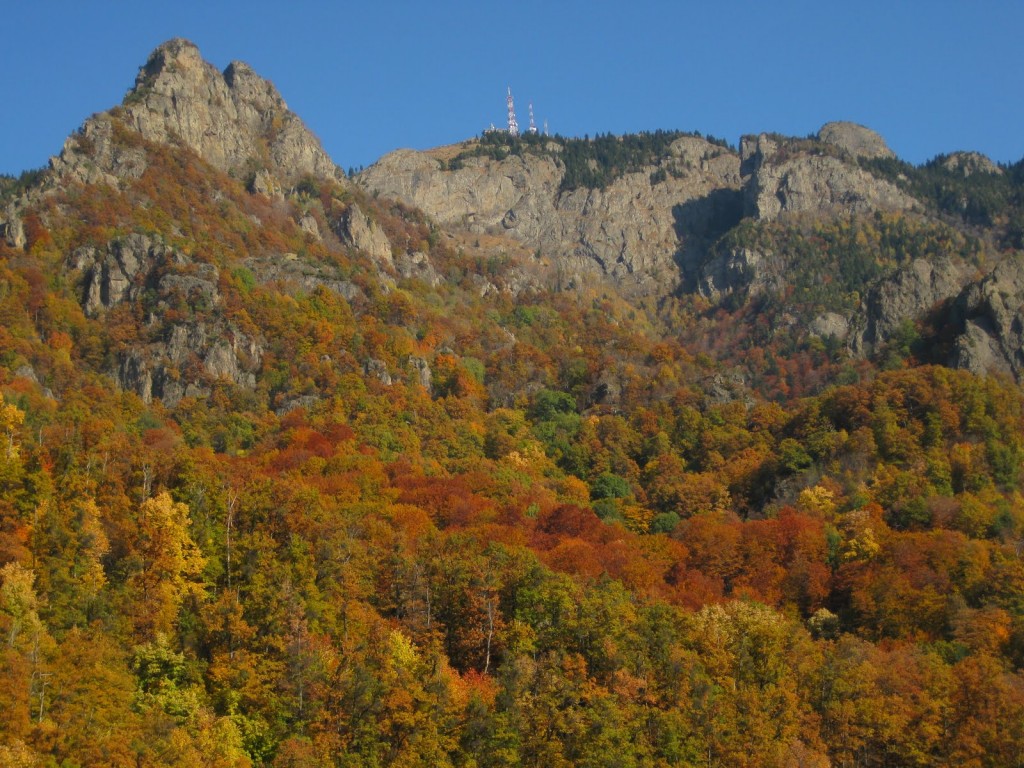 Varful Cozia, Masivul Cozia | Obiective Turistice - Harta Romaniei