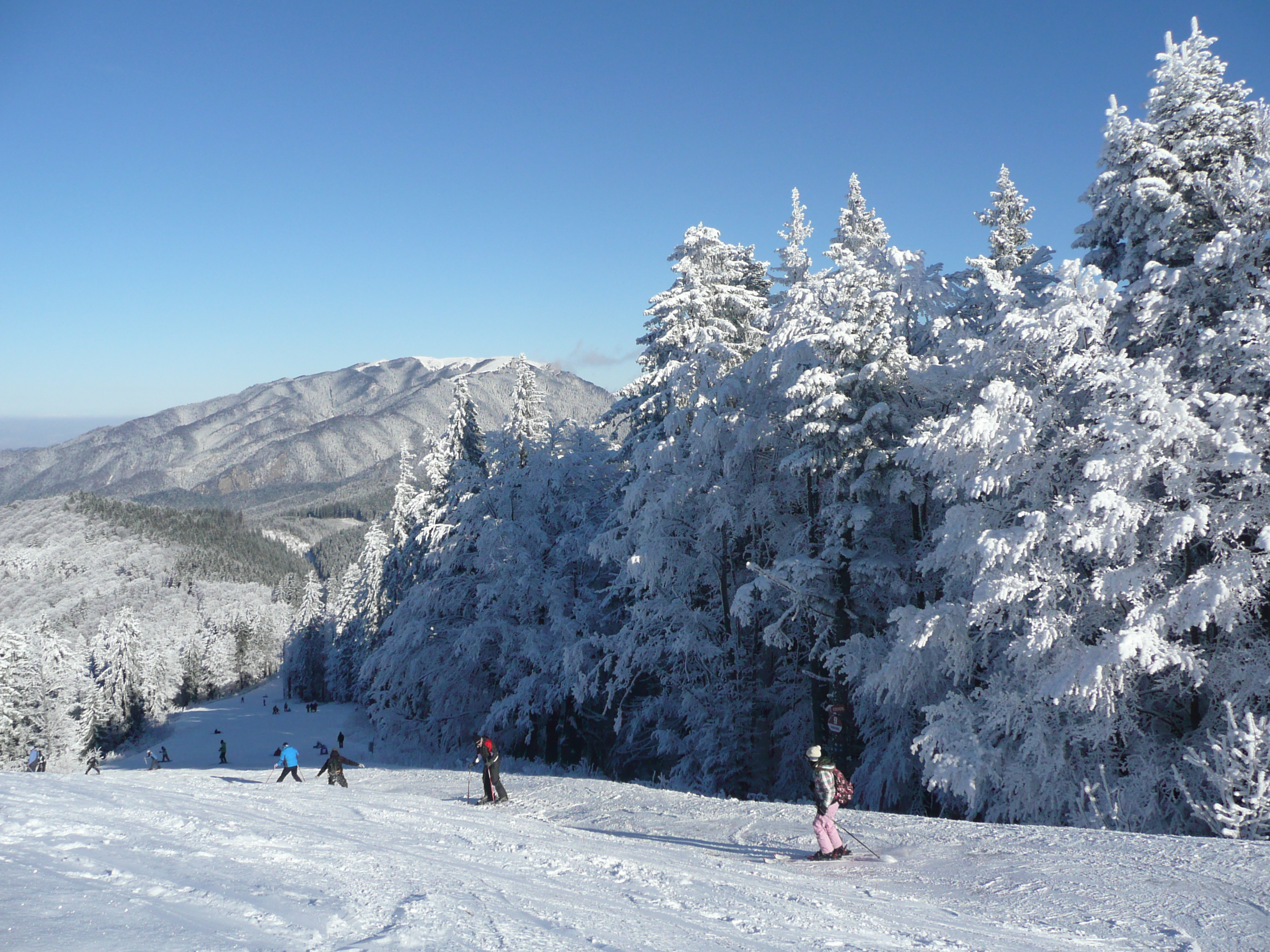 Partia de ski Cocosul – Predeal | Obiective Turistice - Harta Romaniei